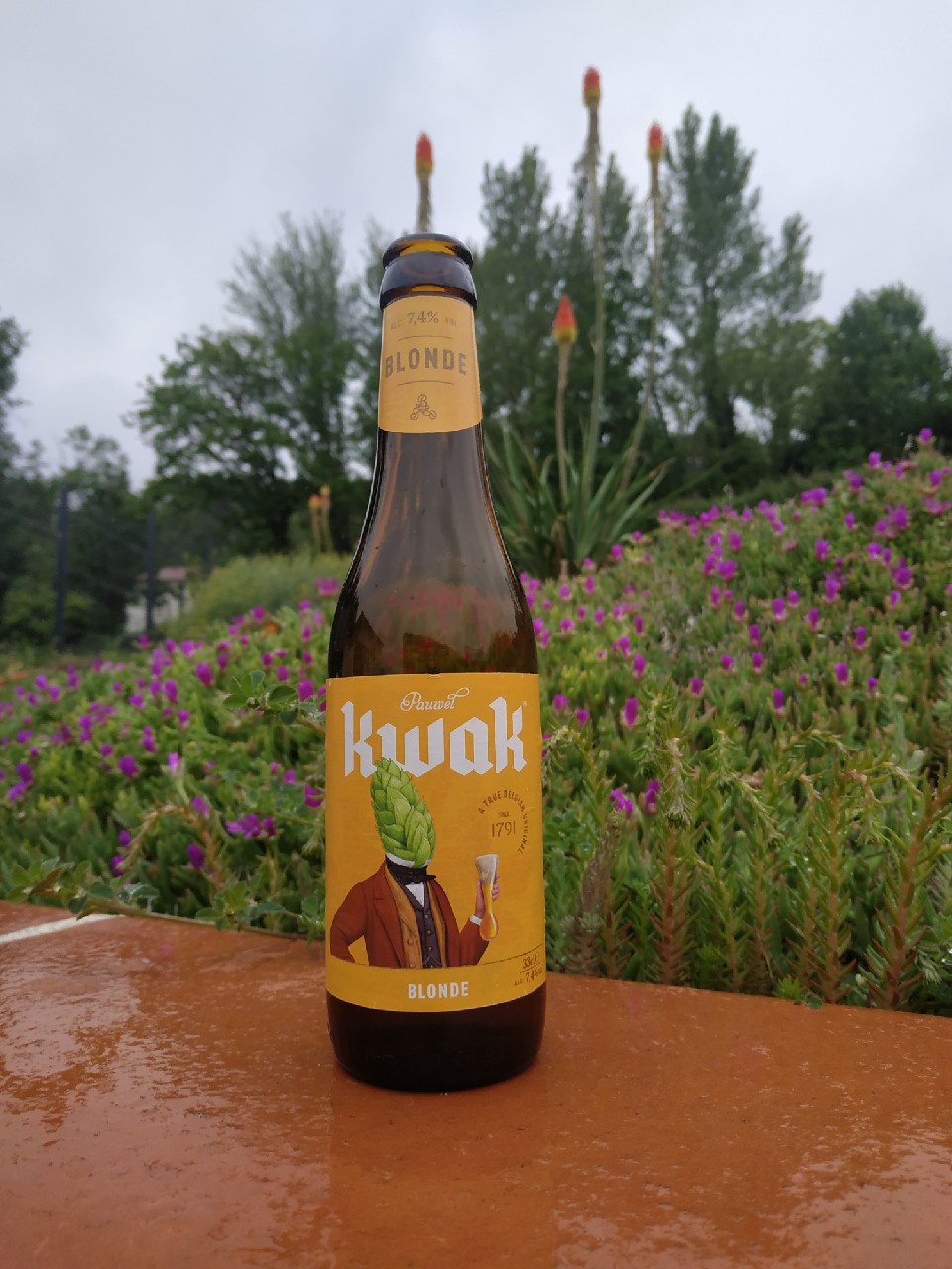 Kwak Blonde 7.4% - Brouwerij Bosteels (AB-InBev) - Pint Please